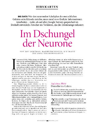 Die Eroberung des Gehirns - Gehirn&Geist Dossier 4/2019 - Spektrum der ...