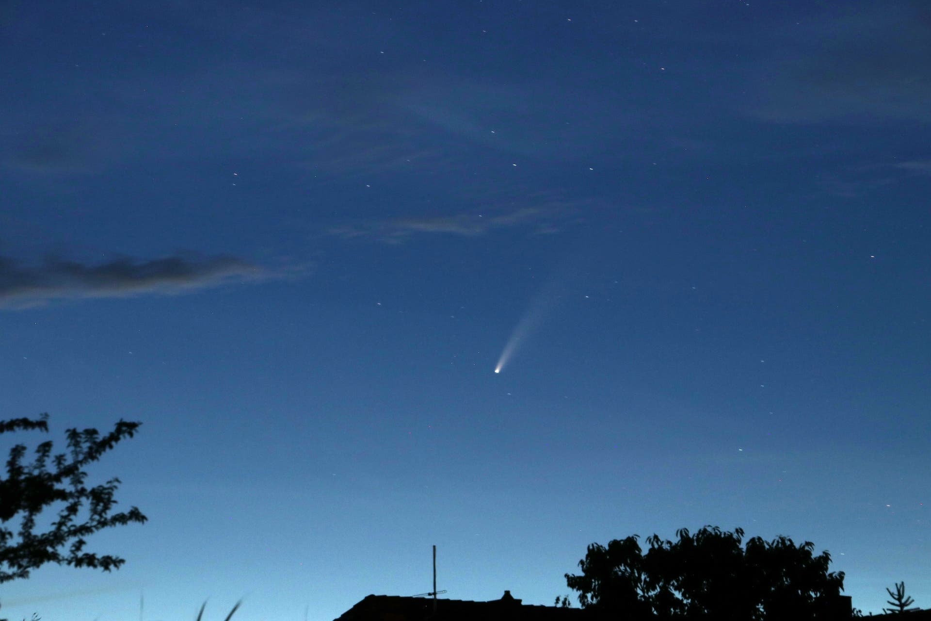 Neowise - Spektrum der Wissenschaft