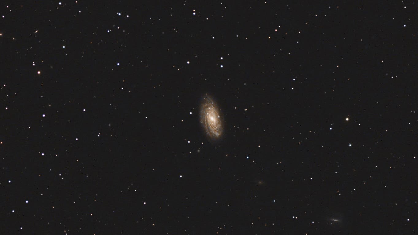 NGC 3953 im Großen Bären (Ursa Major) - Spektrum der Wissenschaft
