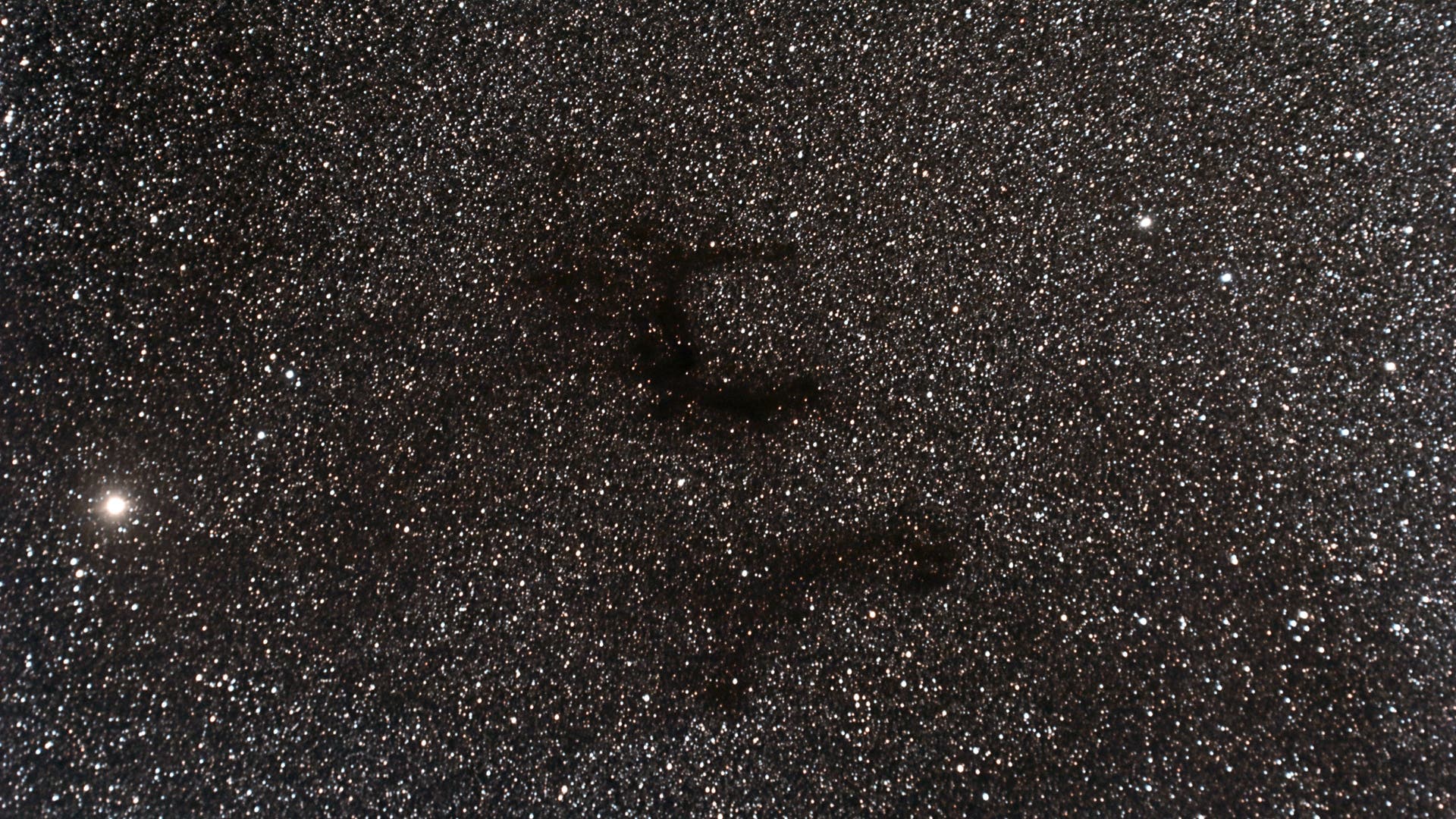 Barnard 142 / 143 - Spektrum der Wissenschaft