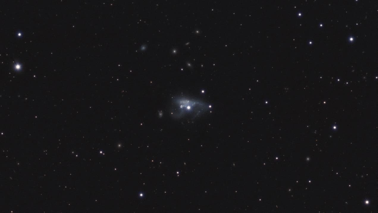 NGC 3239 - Arp 263 - Spektrum der Wissenschaft