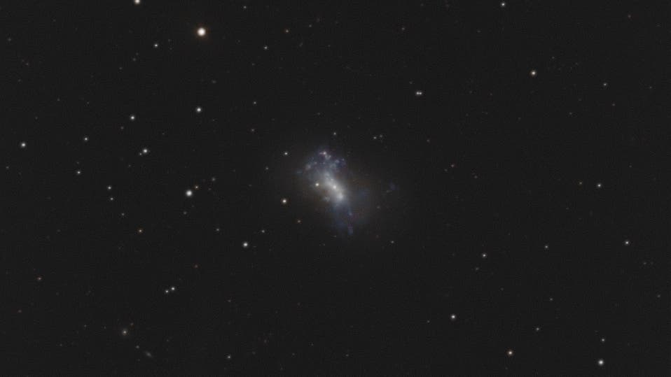 NGC 4449 - Spektrum der Wissenschaft