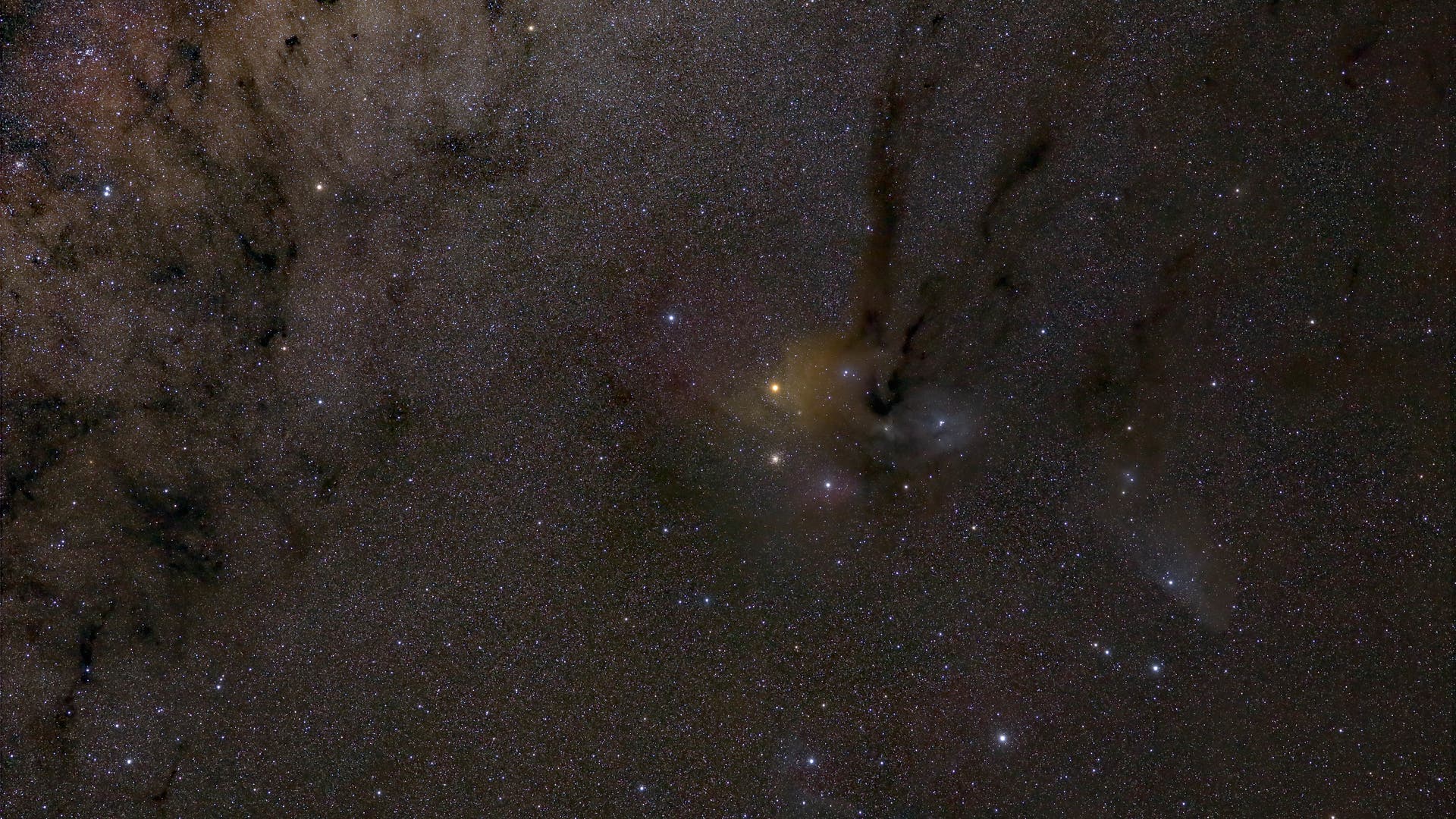 Antares-Region über Namibia - Übersicht - Spektrum der Wissenschaft