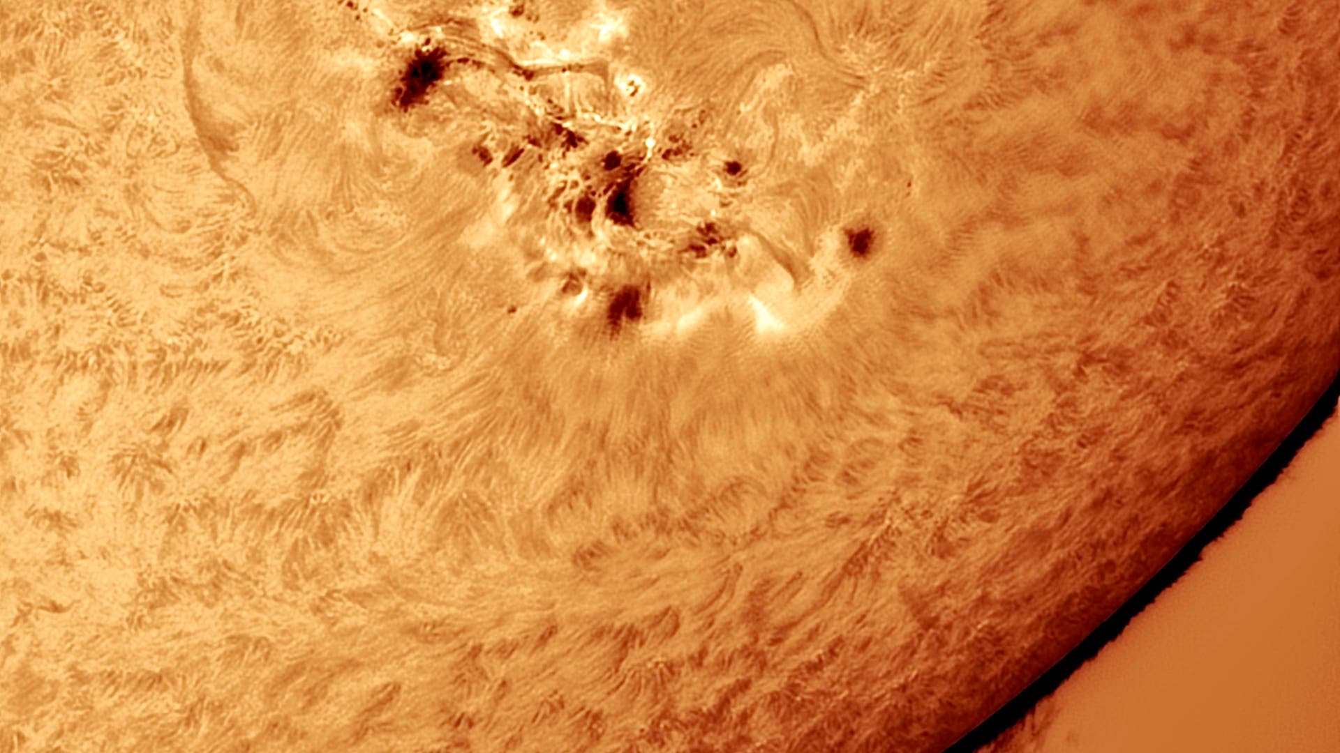 AR 3664 - Spektrum der Wissenschaft