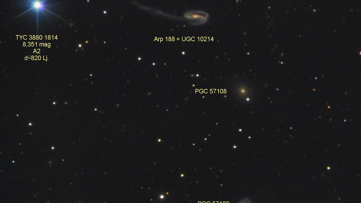 Arp 188 = UGC 10214 Tadpole Galaxy (Text) - Spektrum der Wissenschaft