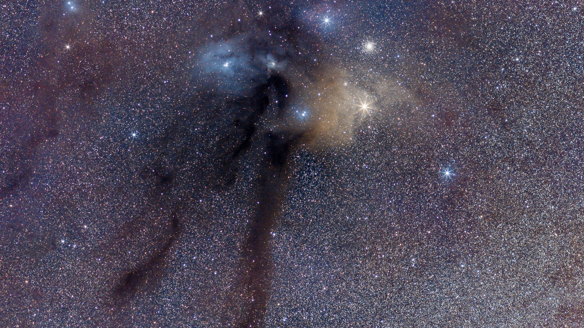 Antares Region - Spektrum der Wissenschaft