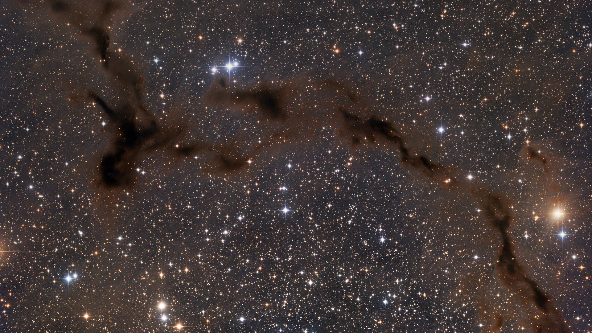 B150 - Spektrum der Wissenschaft
