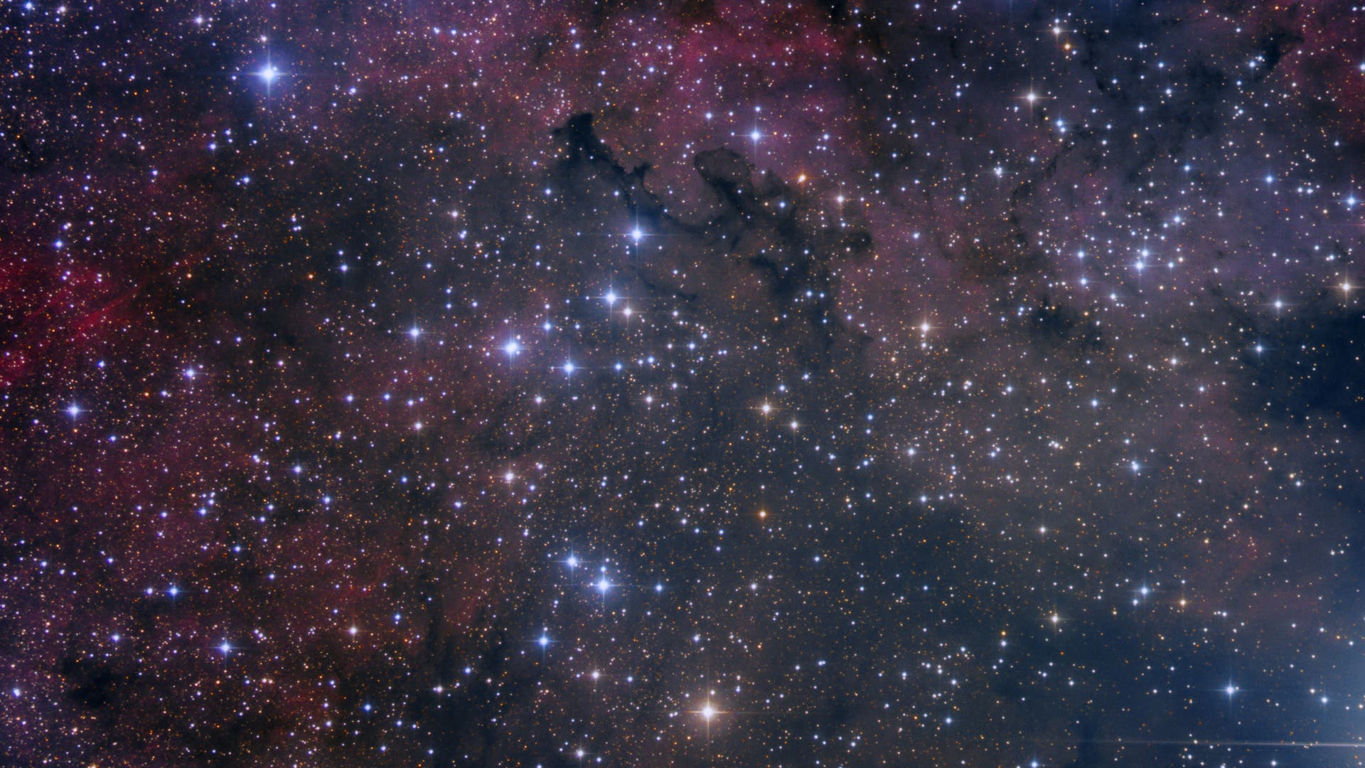 Barnard 344 - Spektrum der Wissenschaft