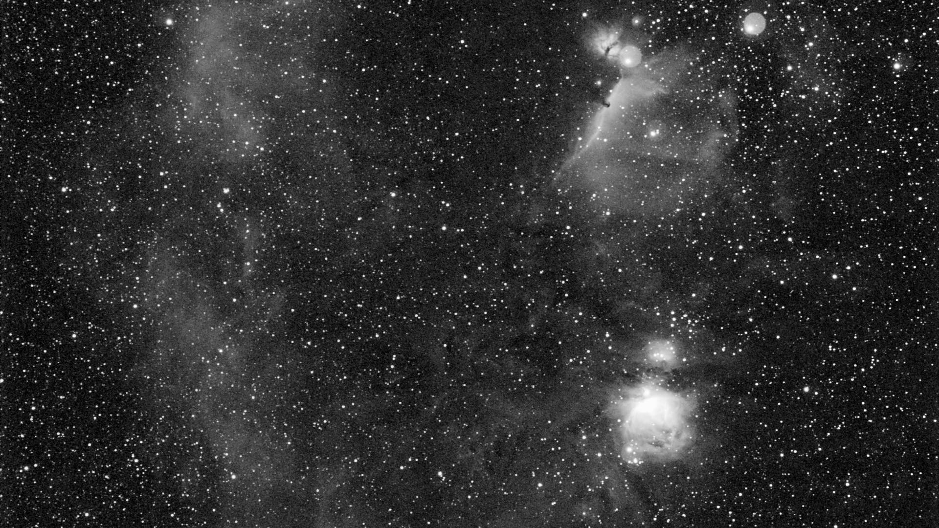 Bernard's Loop - Spektrum der Wissenschaft