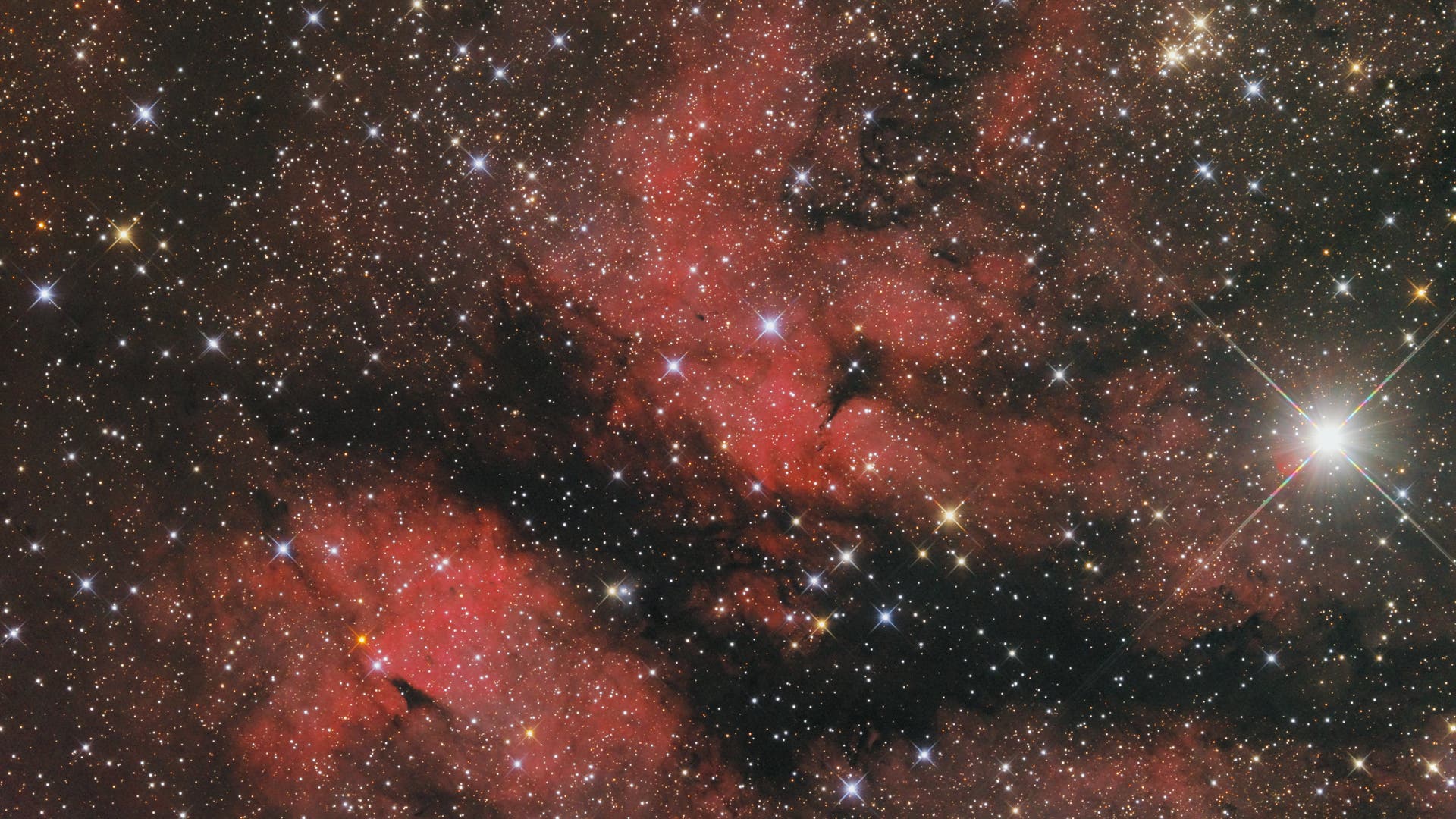IC 1318 - Spektrum der Wissenschaft