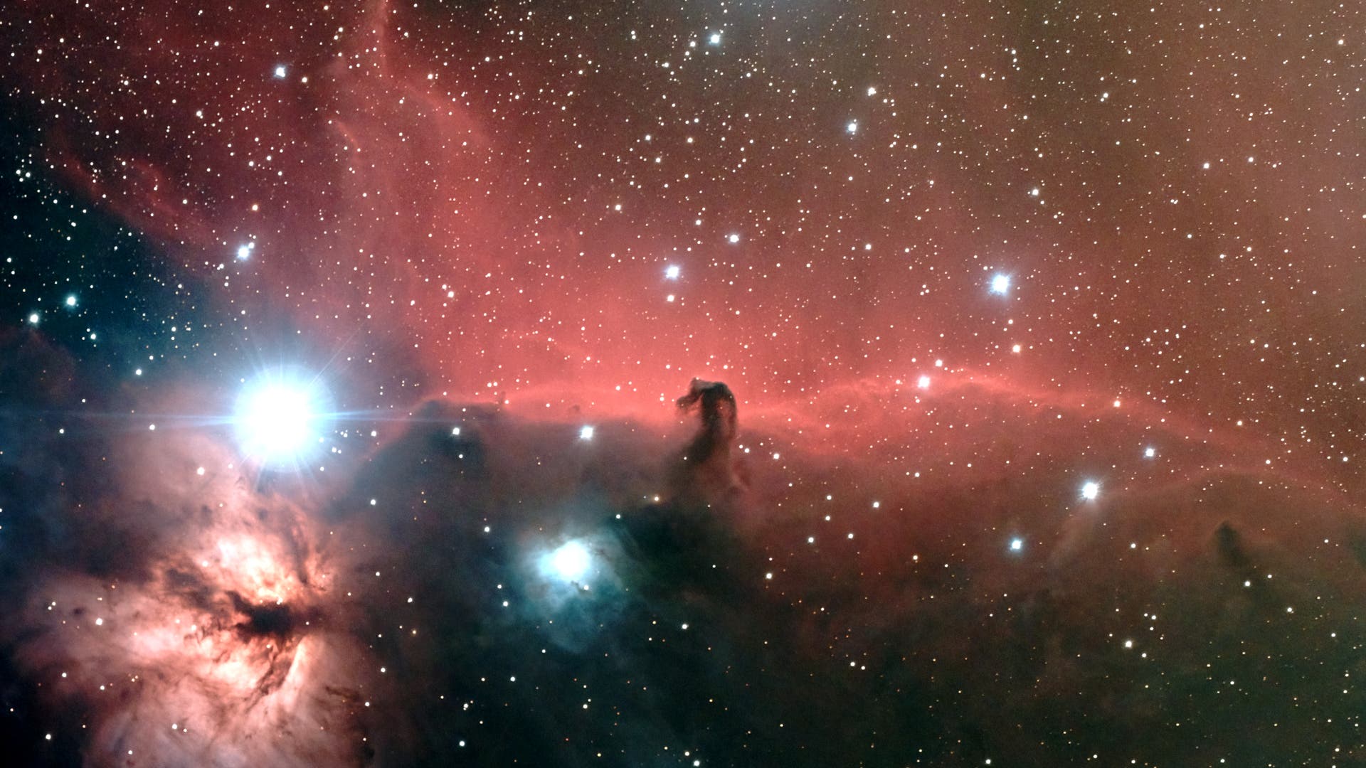 IC 433 - Pferdekopfnebel im Orion - Spektrum der Wissenschaft