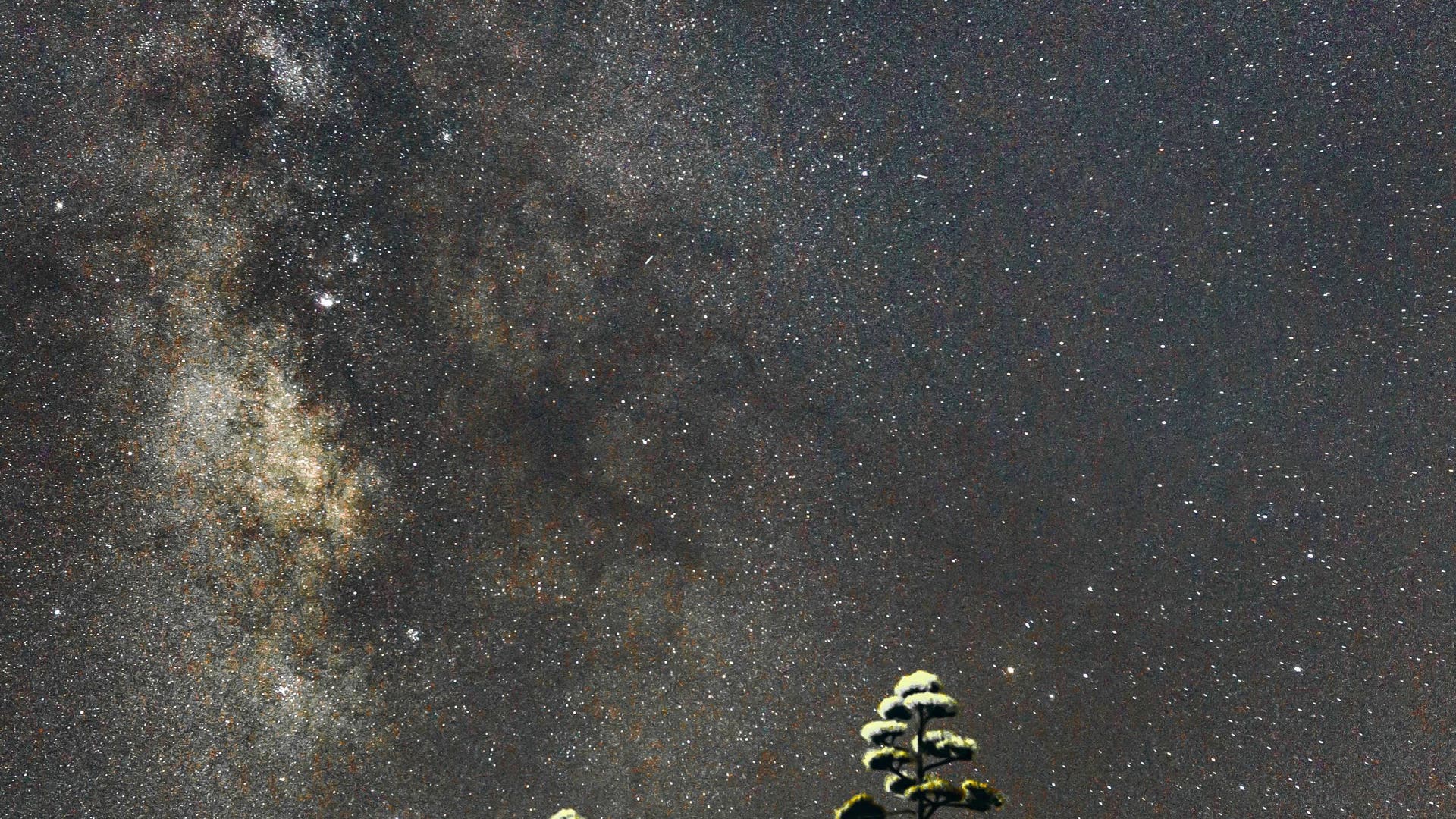 Bokep update 2025 noticed Cammy’s advertisement for a while