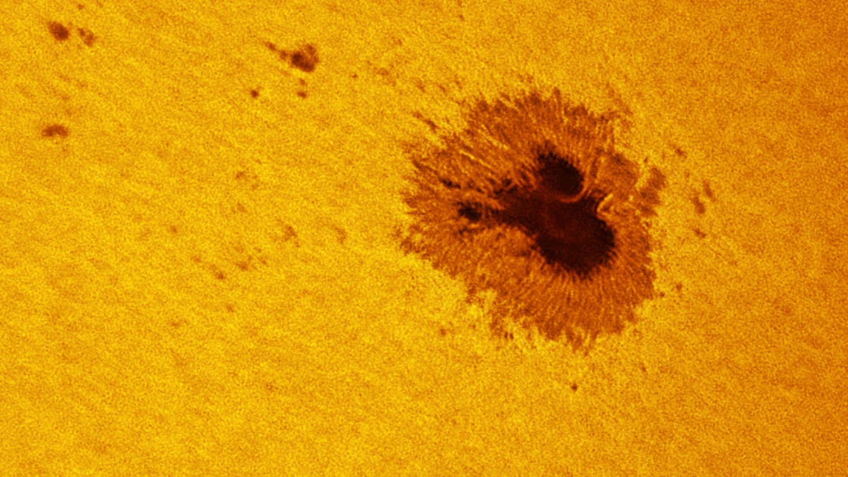 Sonnenfleck AR2529 - Spektrum der Wissenschaft