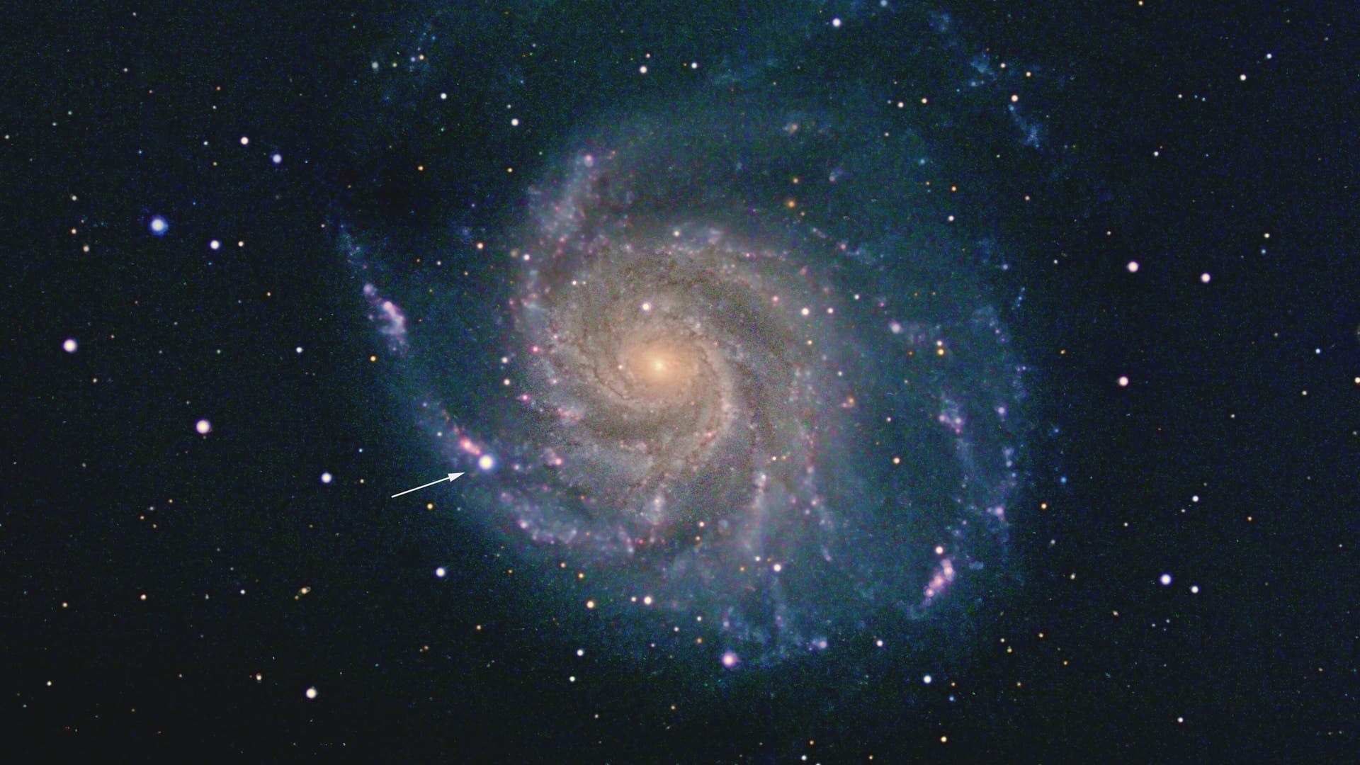 M 101 und SN 2023ixf - Spektrum der Wissenschaft