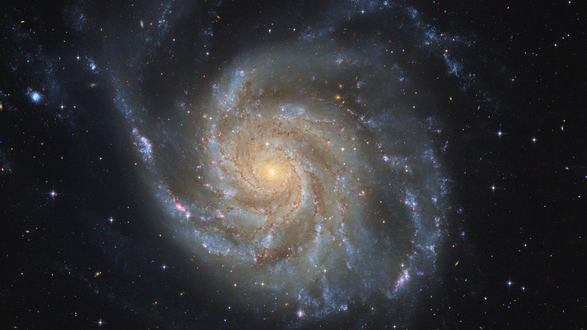 M101 und SN2023ixf - Spektrum der Wissenschaft