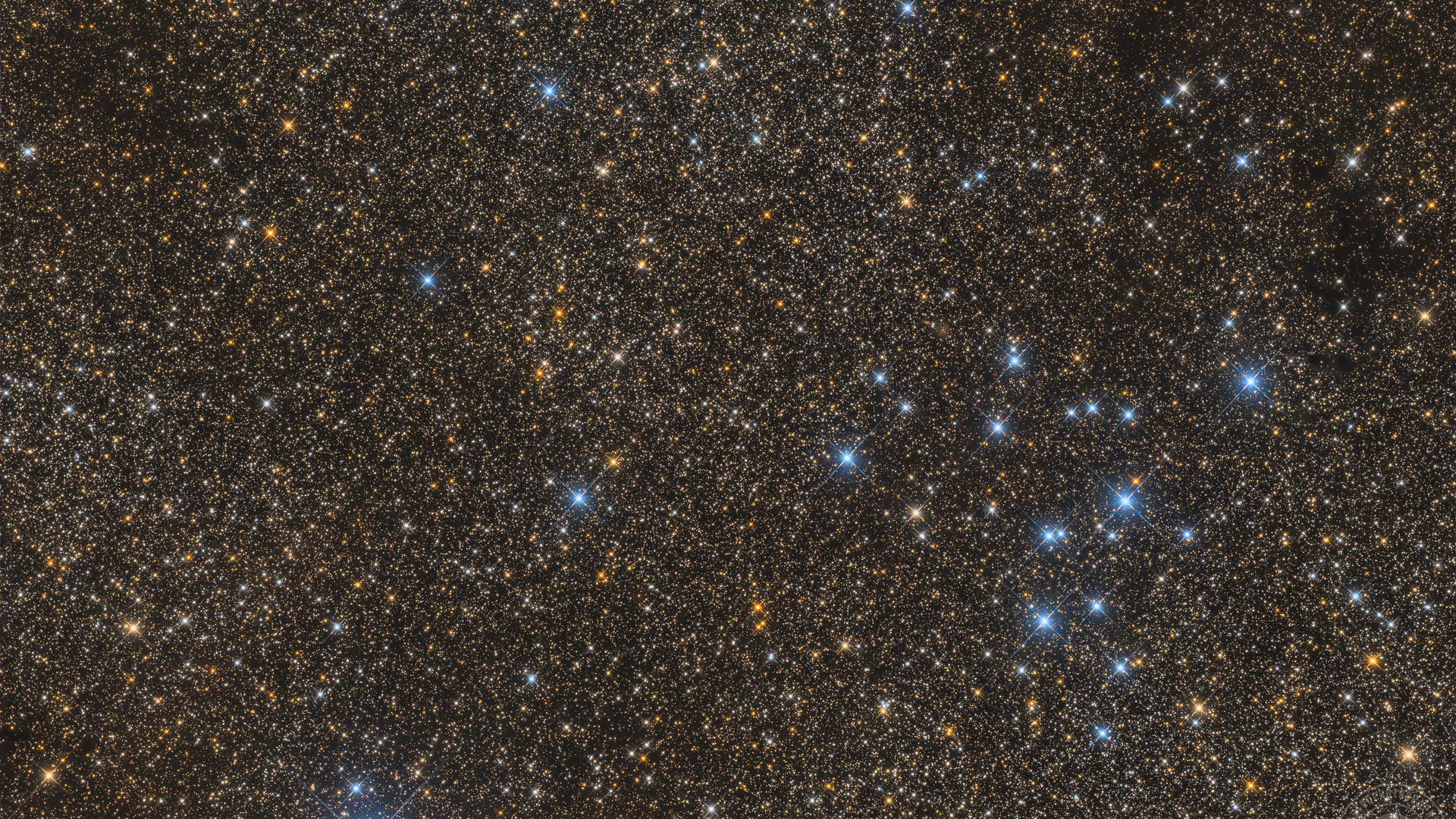 Messier 39 - Spektrum der Wissenschaft