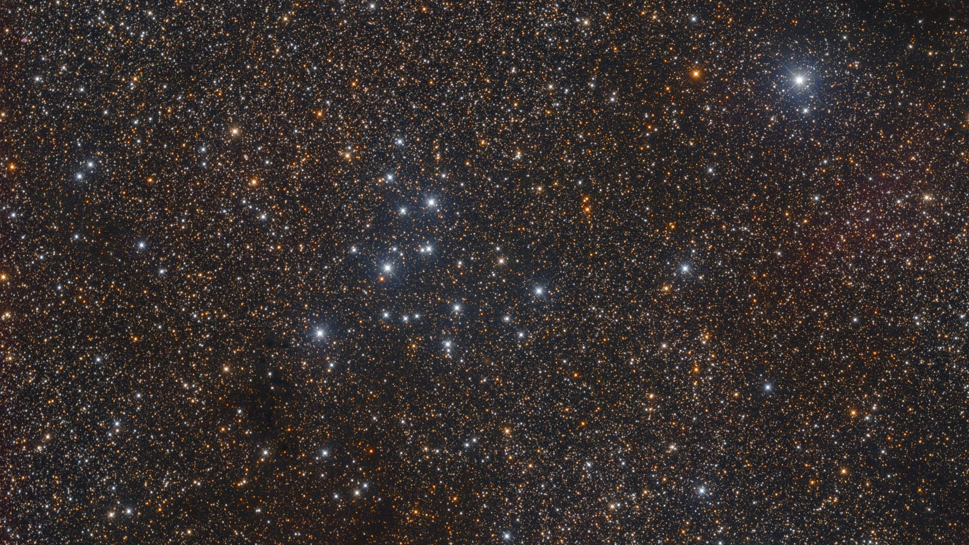 Messier 39 im staubigen Feld - Spektrum der Wissenschaft