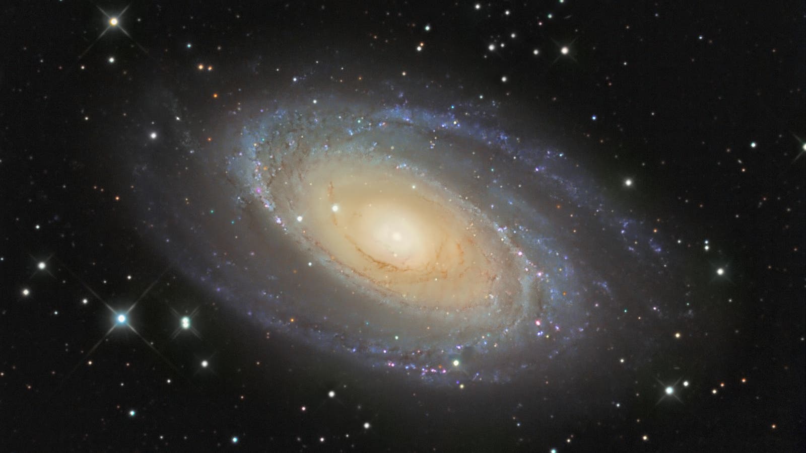 M 81 und Holmberg IX - Spektrum der Wissenschaft