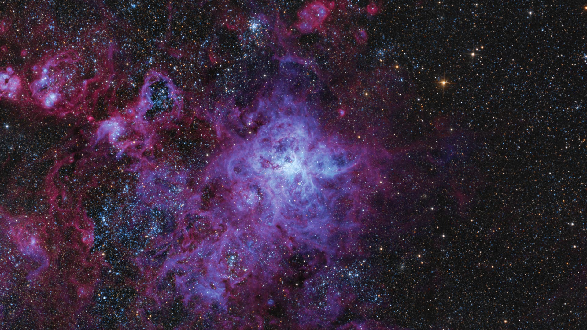 Der Tarantelnebel - Spektrum der Wissenschaft