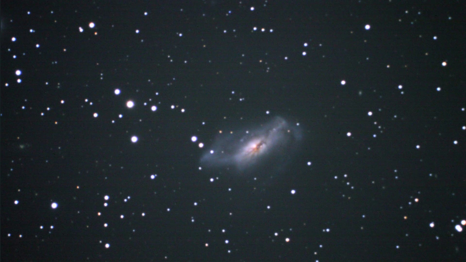 NGC 2146 - Spektrum der Wissenschaft