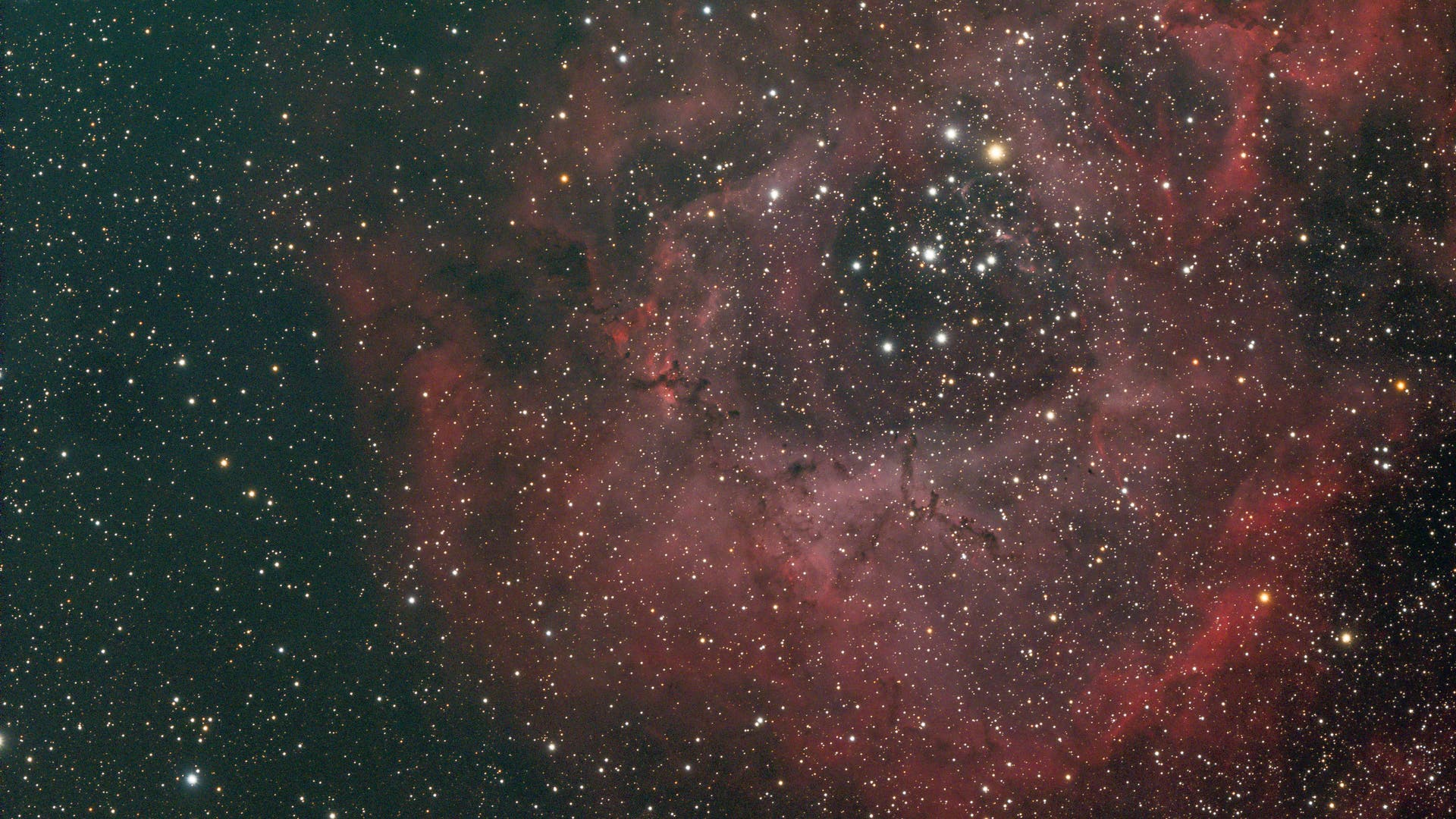 NGC 2237 - Spektrum der Wissenschaft