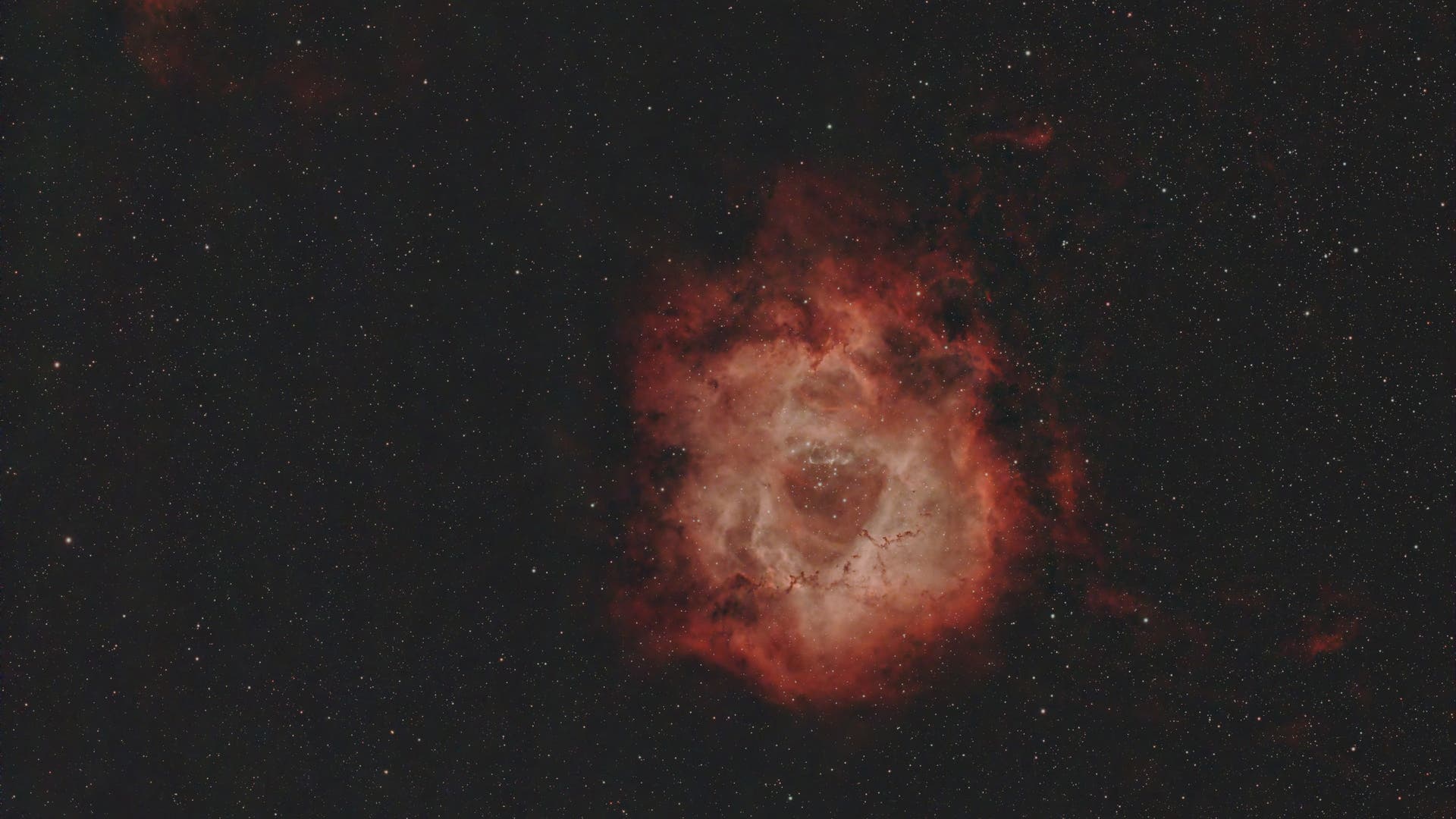 NGC 2238 - Spektrum der Wissenschaft