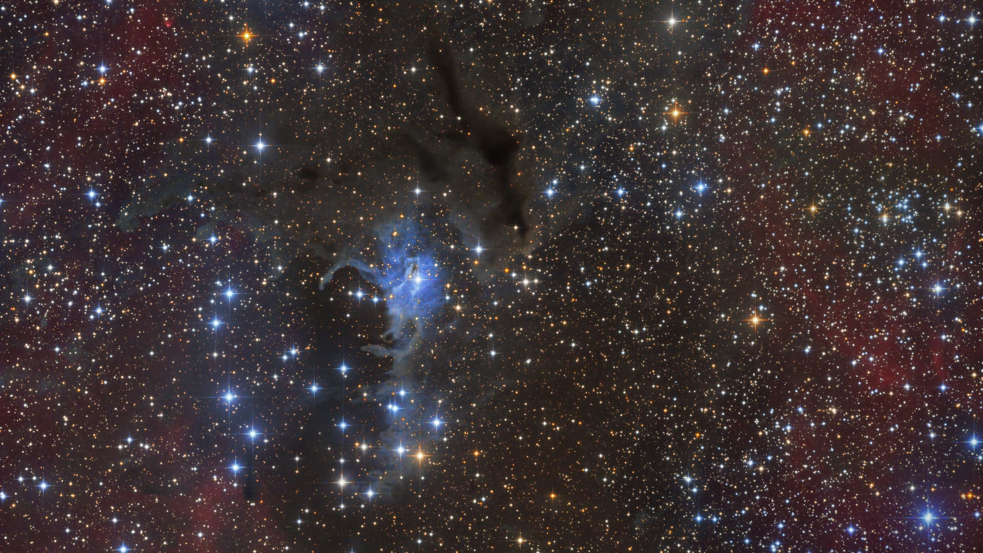 NGC 223 Sailboat Cluster - Spektrum der Wissenschaft