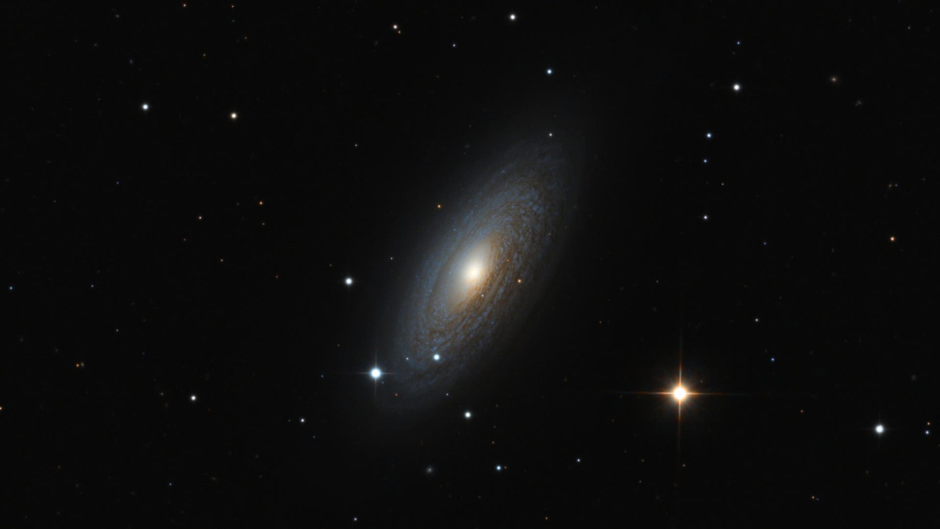 NGC 2841 - Spektrum der Wissenschaft
