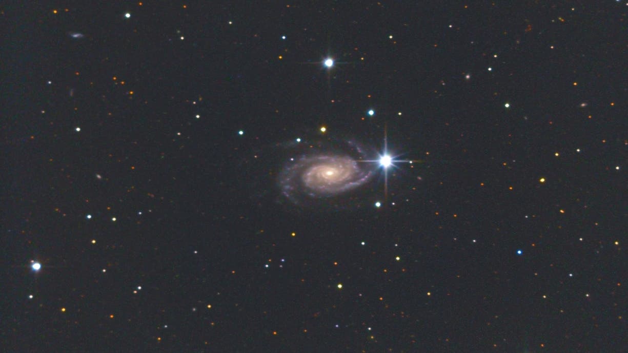 NGC 3338 in Leo - Spektrum der Wissenschaft