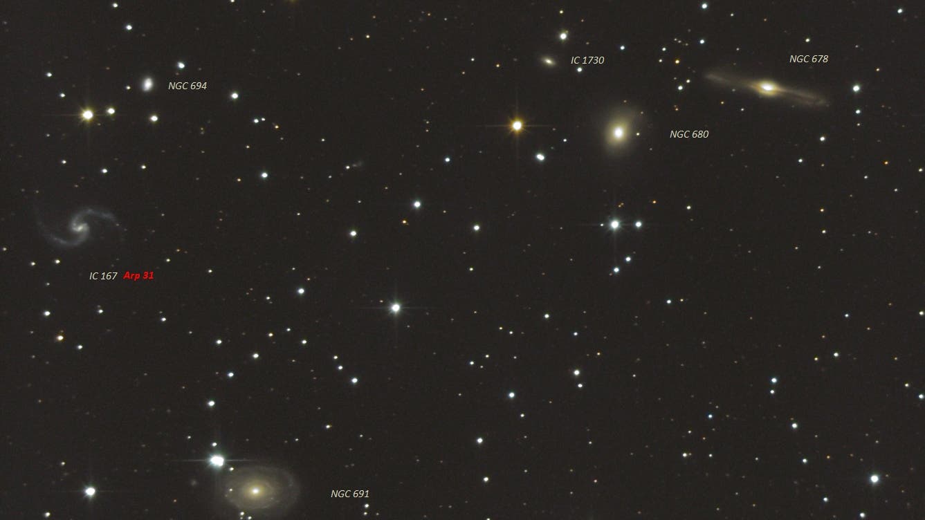 NGC 678 Galaxiengruppe im Widder (Objekte) - Spektrum der Wissenschaft