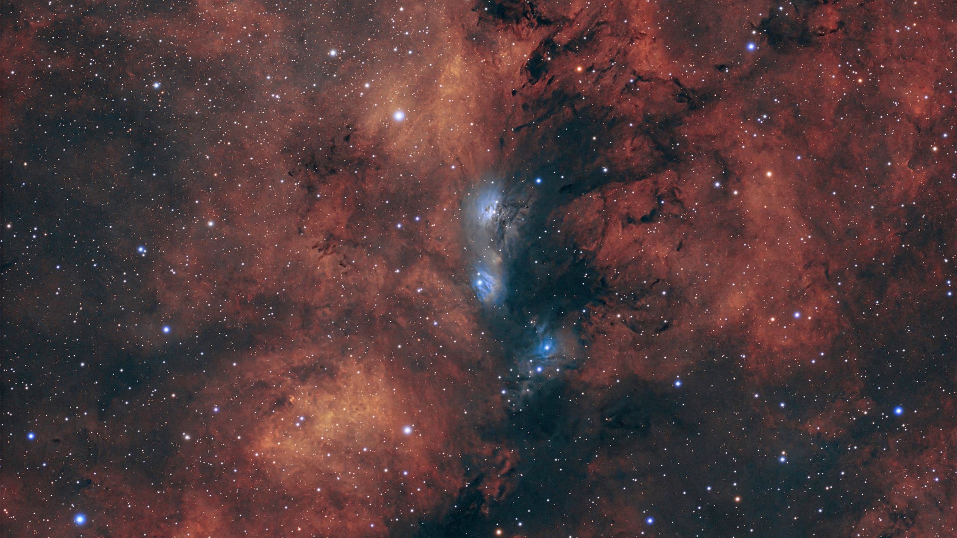 NGC 6914 - Spektrum der Wissenschaft