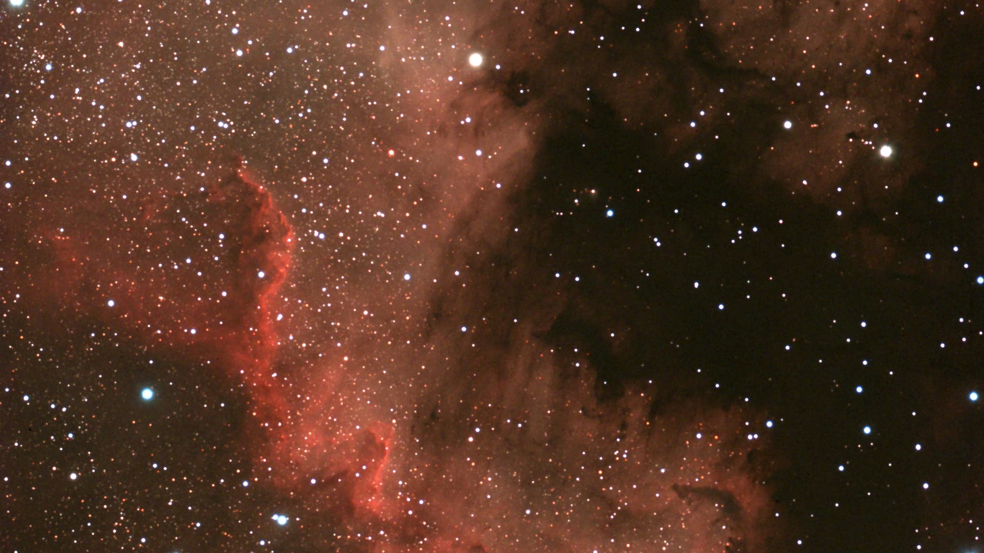 Nordamerika-Nebel NGC 7000 - Spektrum der Wissenschaft