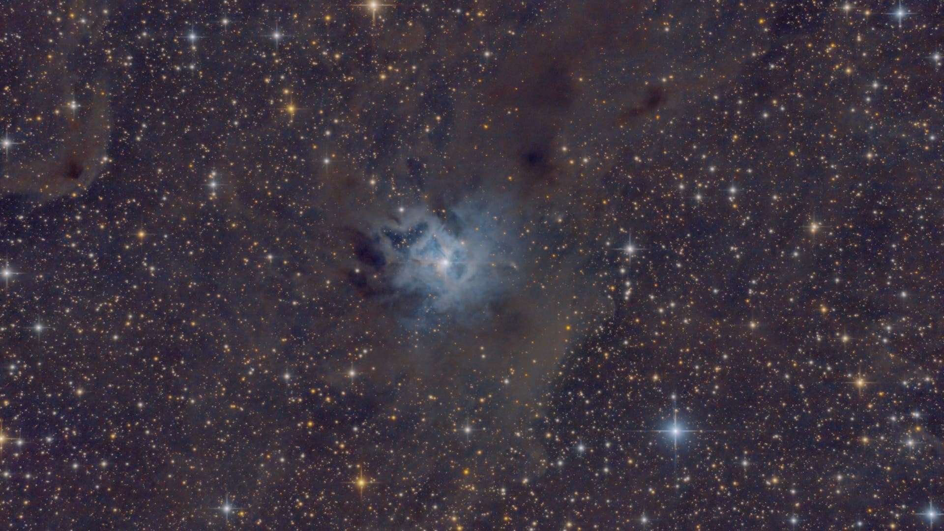 NGC 7023 Irisnebel - Spektrum der Wissenschaft
