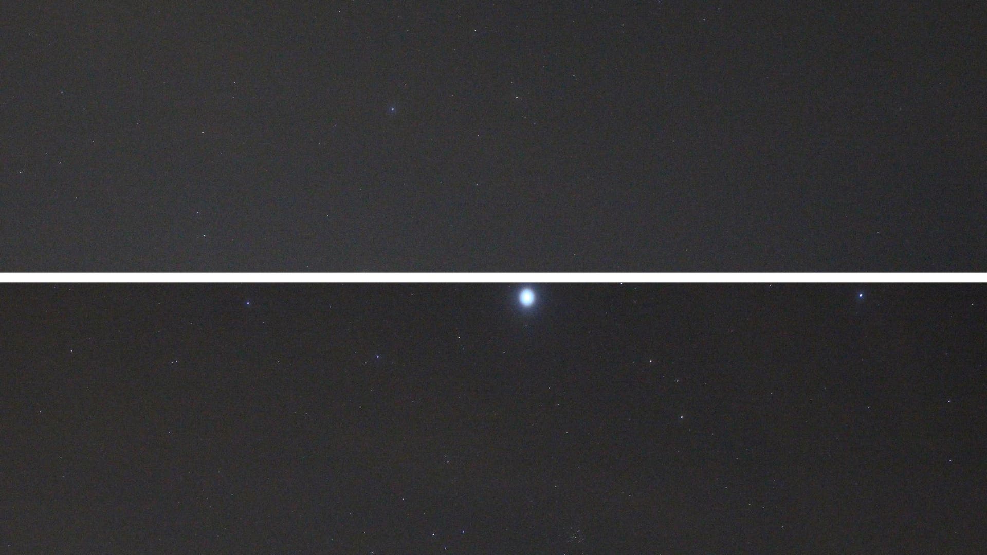 Pallas im Sternbild Großer Hund - Spektrum der Wissenschaft