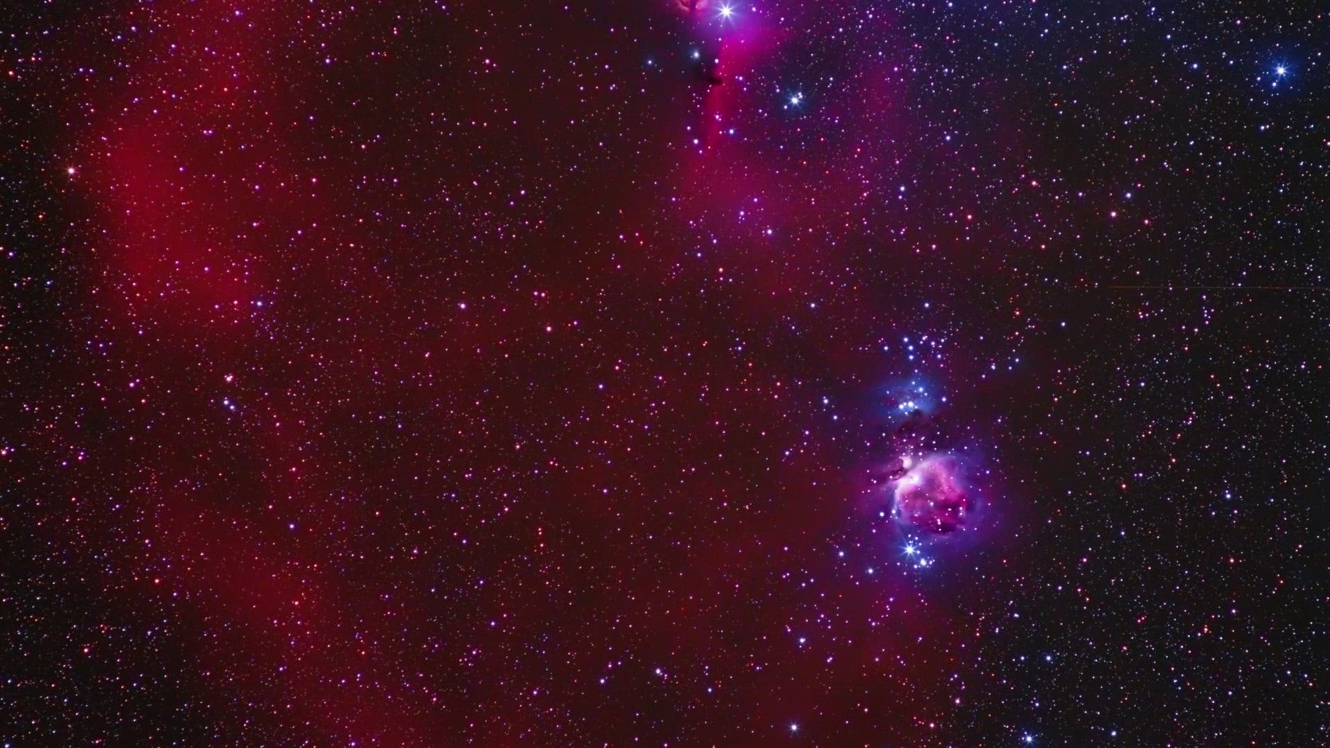 Orion Molecular Cloud Complex - Spektrum der Wissenschaft