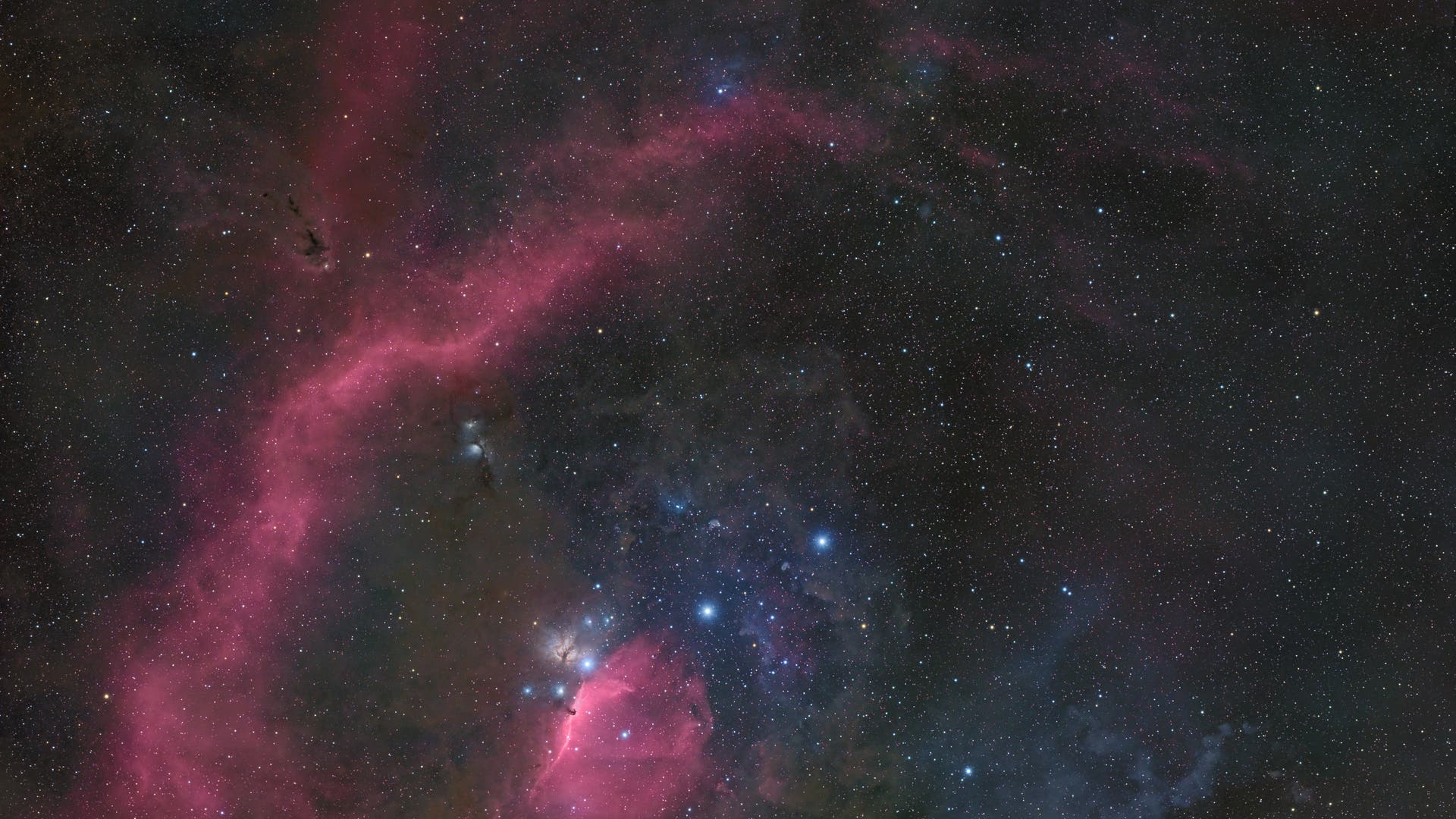 Orion - von Kopf bis Fuß - Spektrum der Wissenschaft