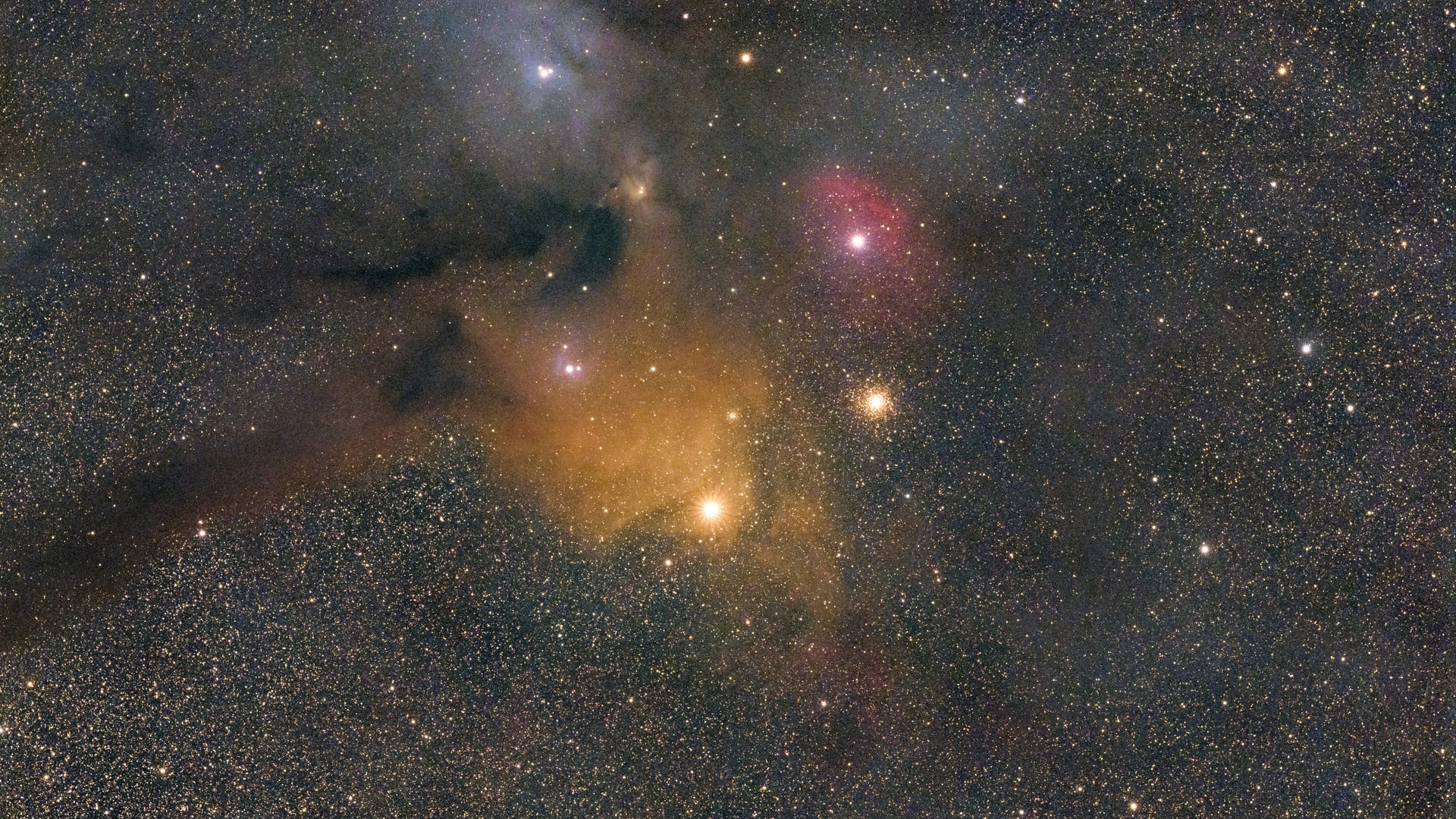 Rho-Ophiuchi-Nebel - Spektrum der Wissenschaft