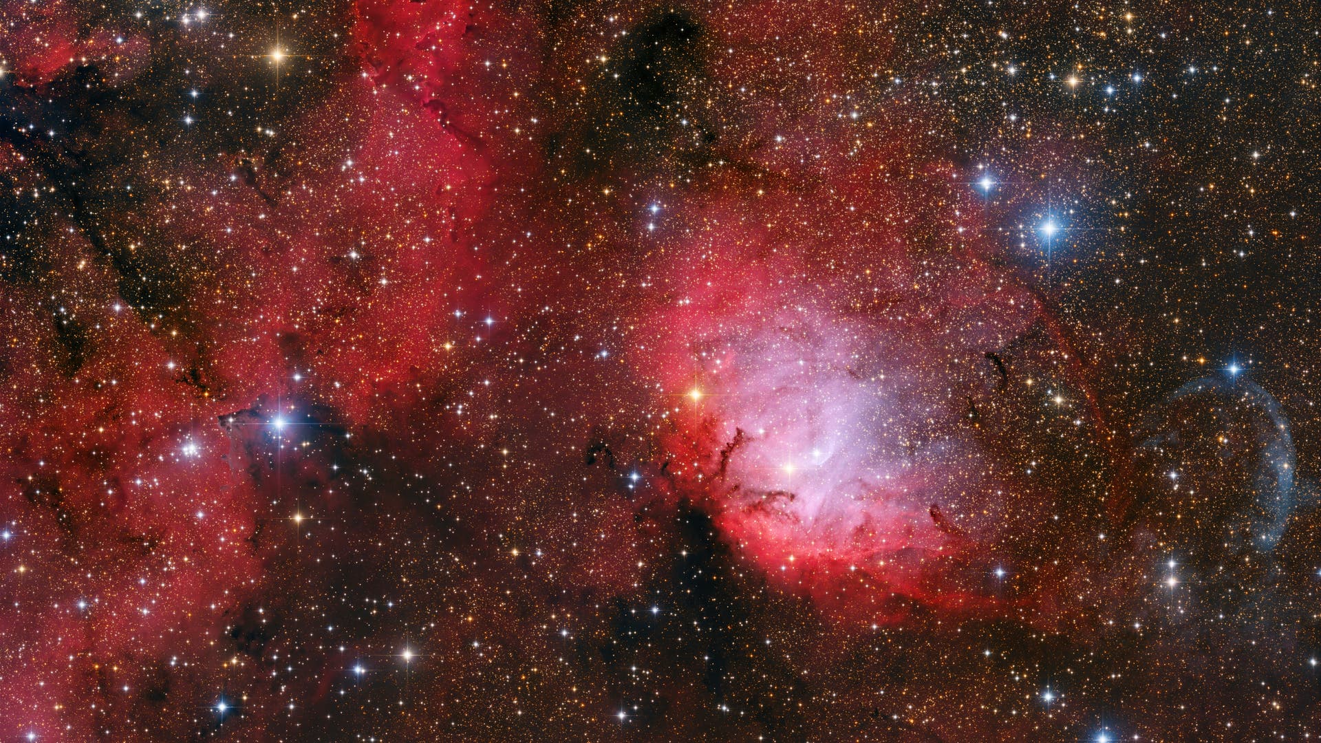 Sh2-101 und Cyg X-1 - Spektrum der Wissenschaft