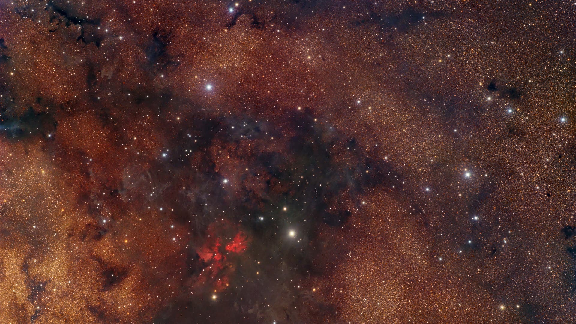 Sh2-64 W40 - Spektrum der Wissenschaft