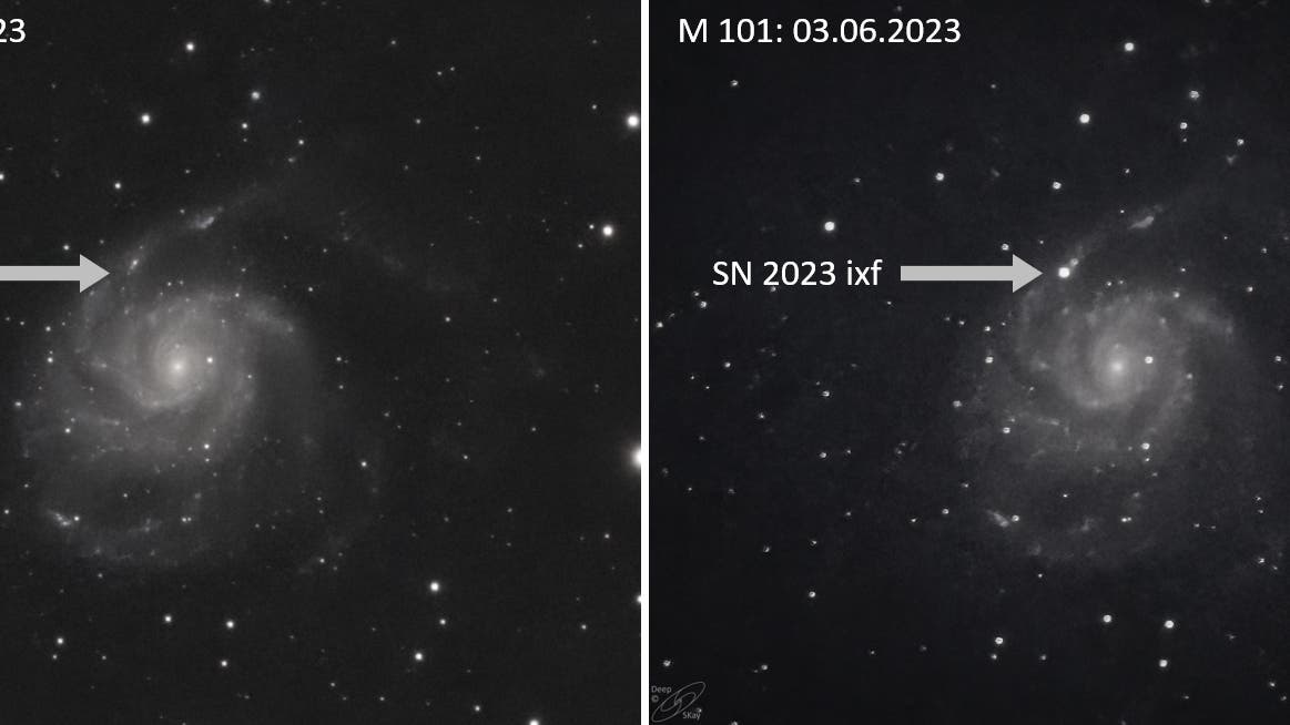 Supernova SN 2023ixf - Spektrum der Wissenschaft