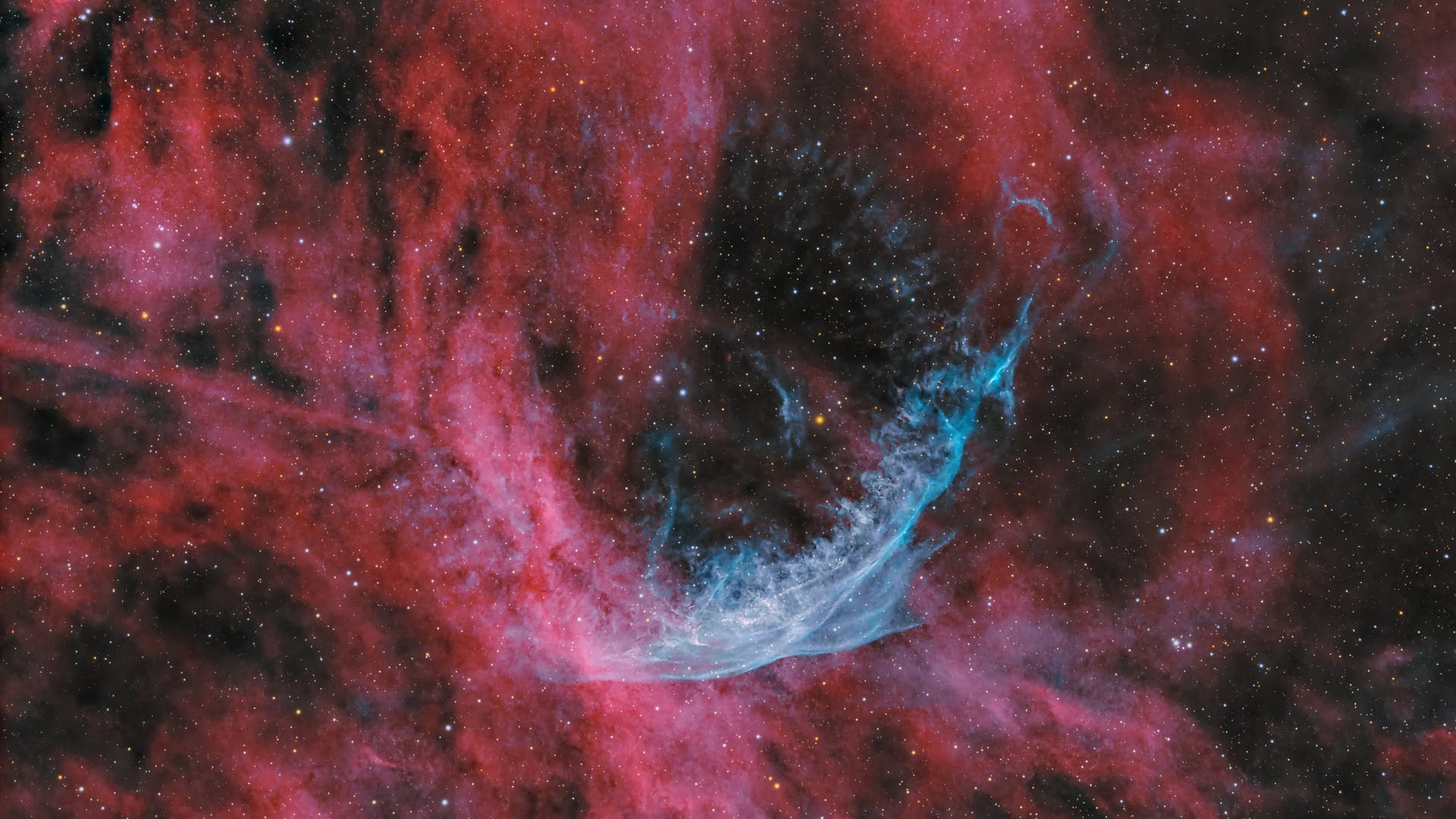 WR134: Wolf-Rayet star (Cyg) - Spektrum der Wissenschaft