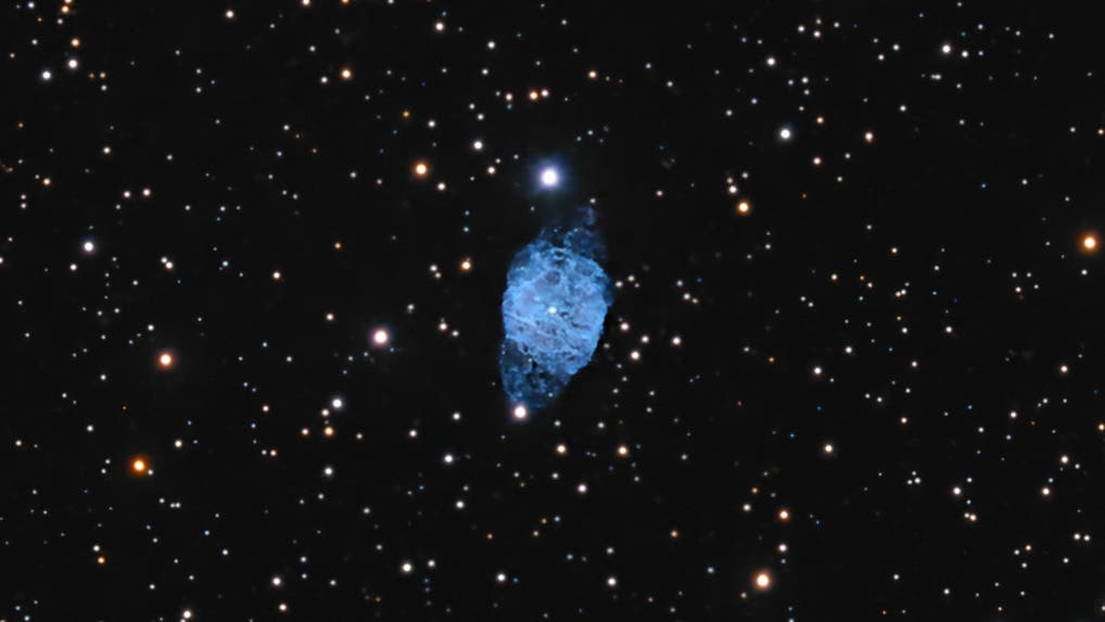 NGC 6905 Blauer Blitz Planetarischer Nebel - Spektrum der Wissenschaft