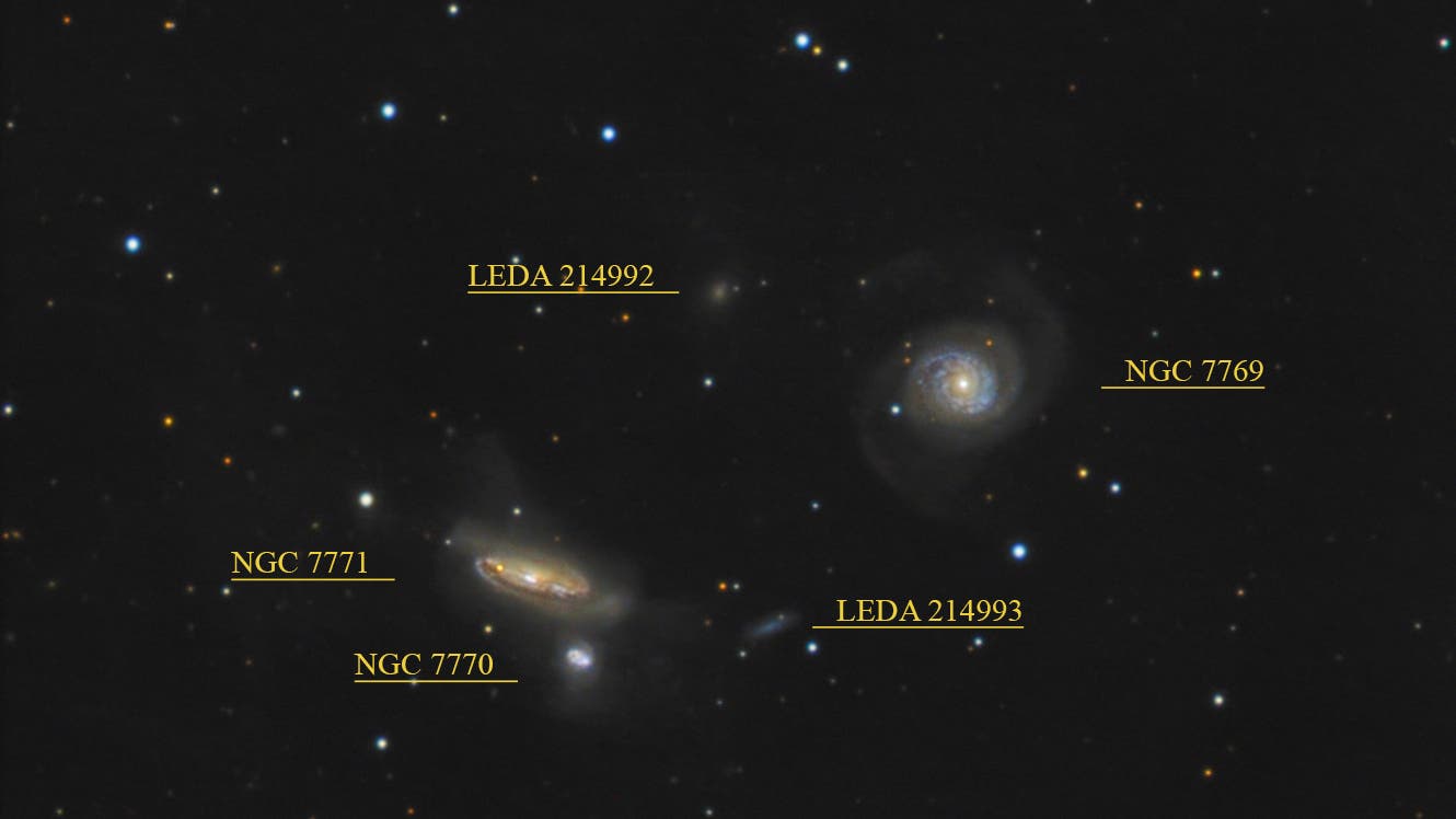 NGC 7769, NGC 7770 und NGC 7771 (Objekte) - Spektrum der Wissenschaft