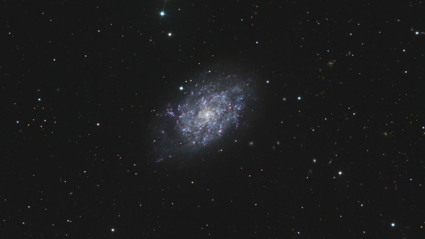 NGC 7793 - Spektrum der Wissenschaft