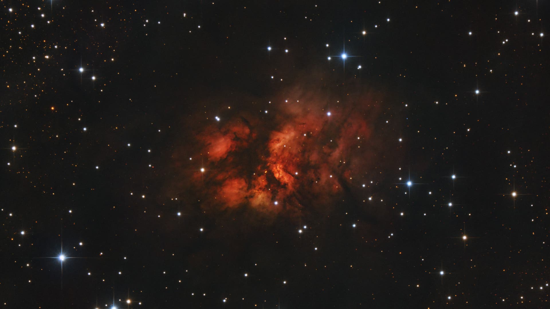 RCW 36 - Spektrum der Wissenschaft