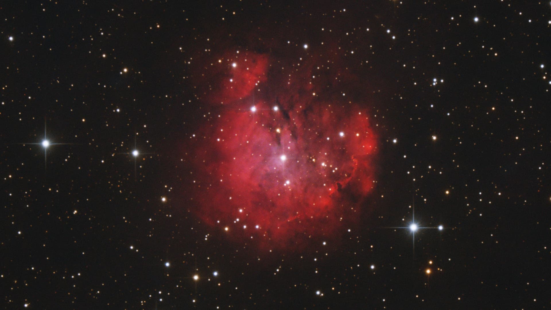 RCW 40 - Spektrum der Wissenschaft