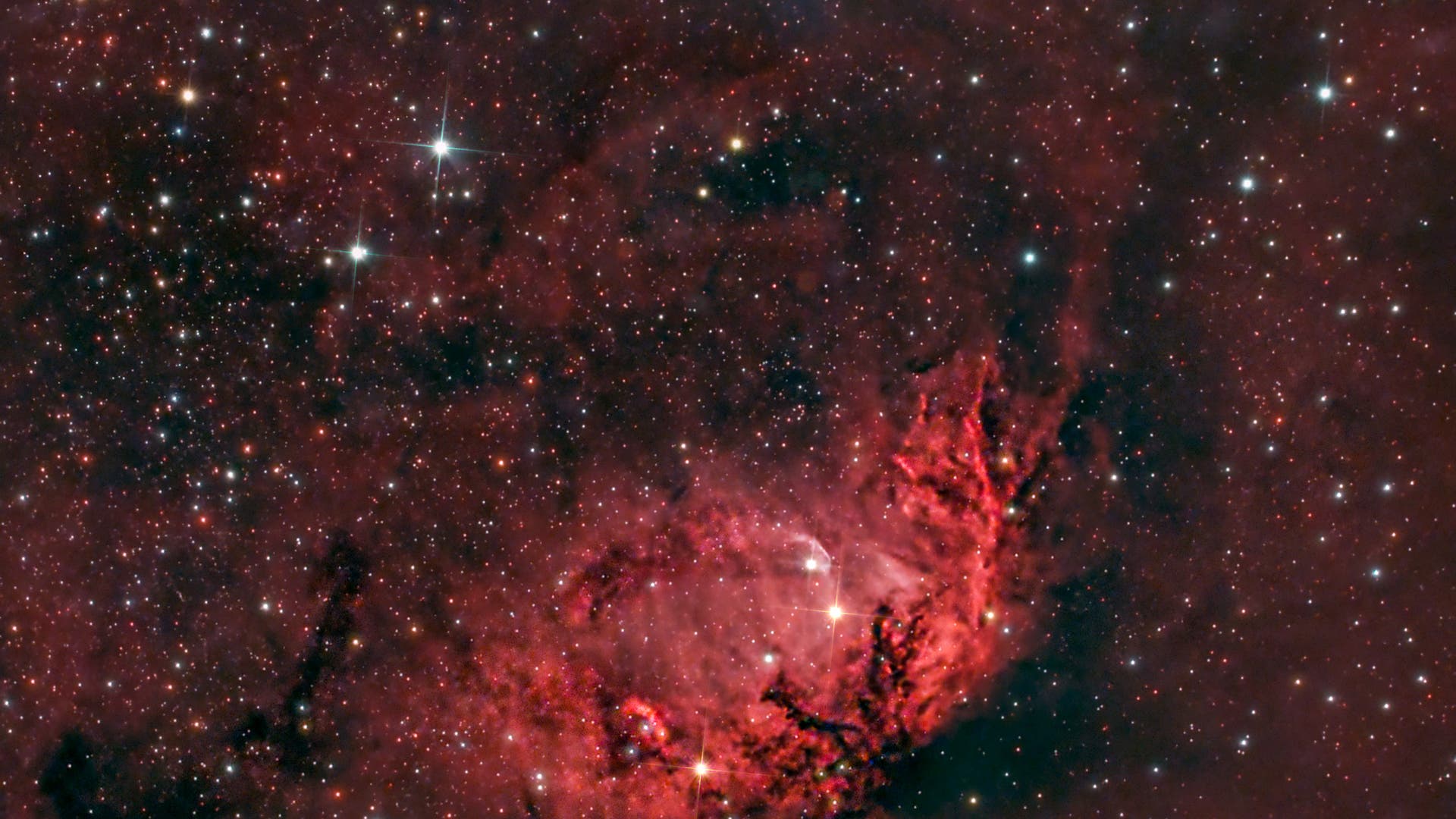 The Tulip Nebula and the Black Hole Cygnus X-1 - Spektrum der Wissenschaft