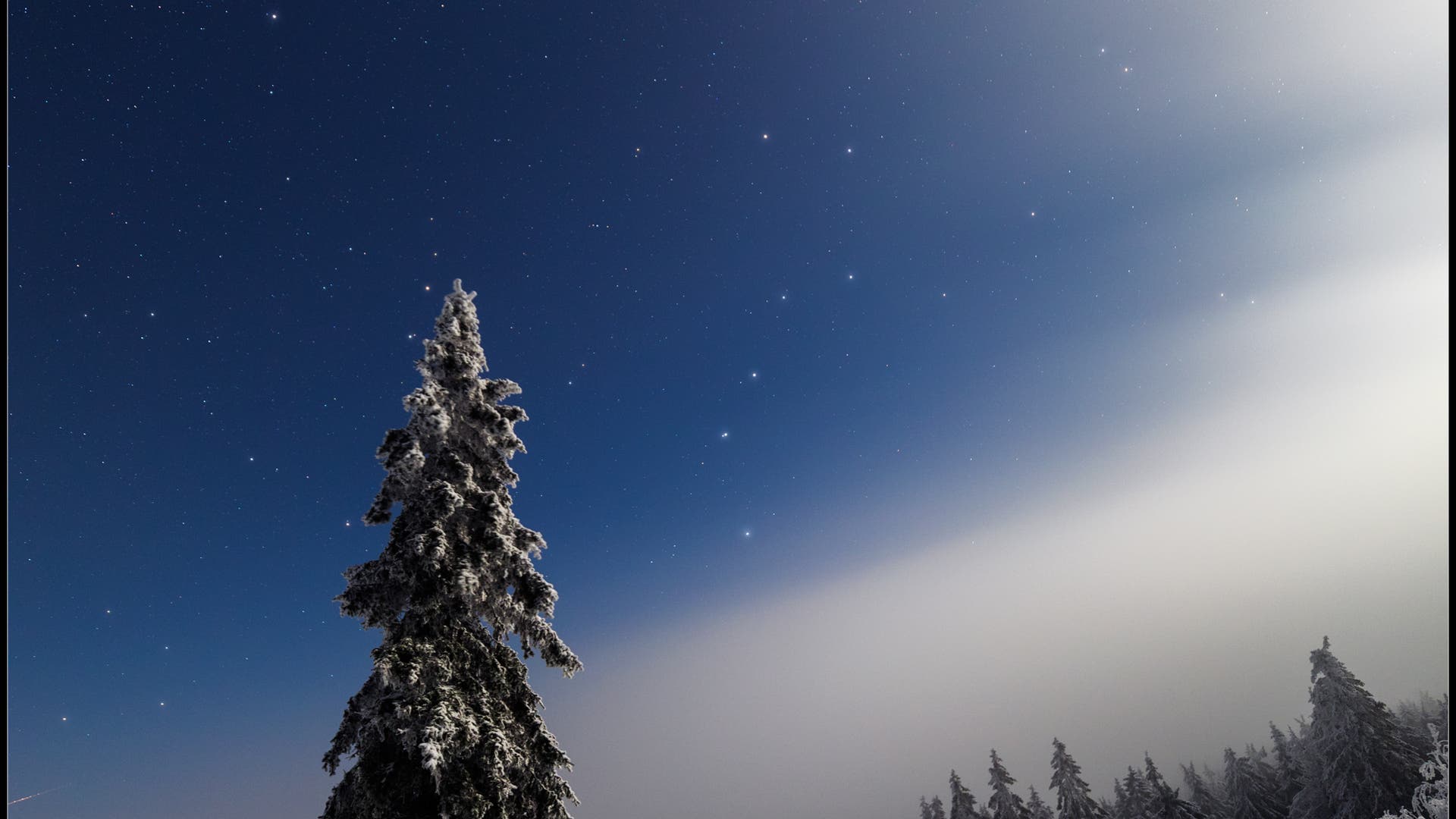 Ursa Major über nebliger Taunus-Winterlandschaft - Spektrum der ...