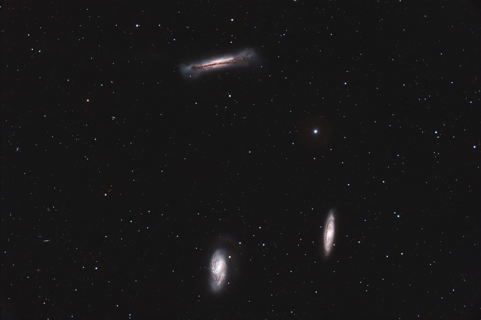 Leo-Triplett im Löwen - Spektrum der Wissenschaft