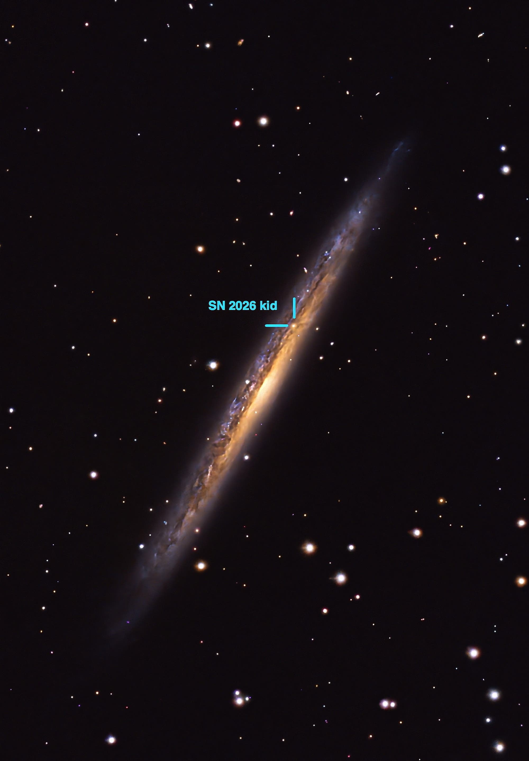 NGC 5907 Supernova - Spektrum der Wissenschaft